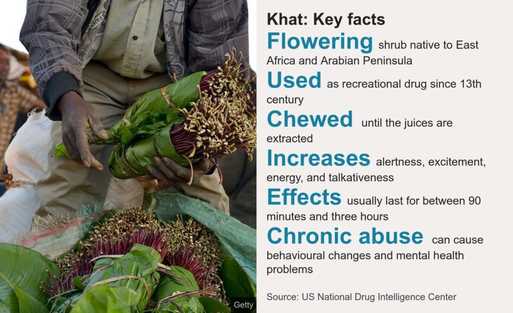 Drug Information - Narcotics Control Commission